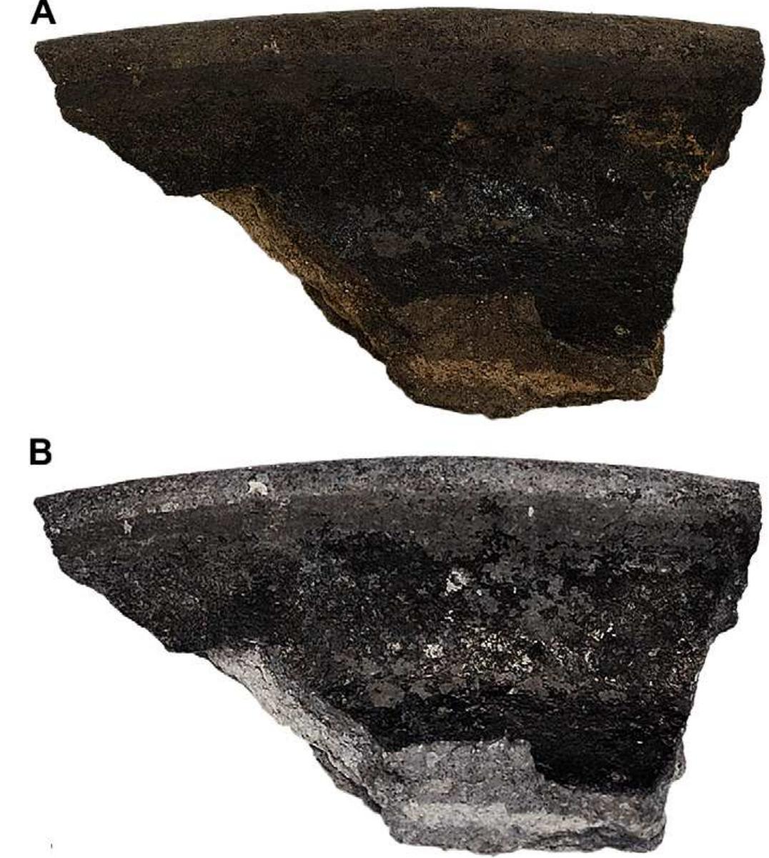Comparison between the visible (a) and nir record (b) of a