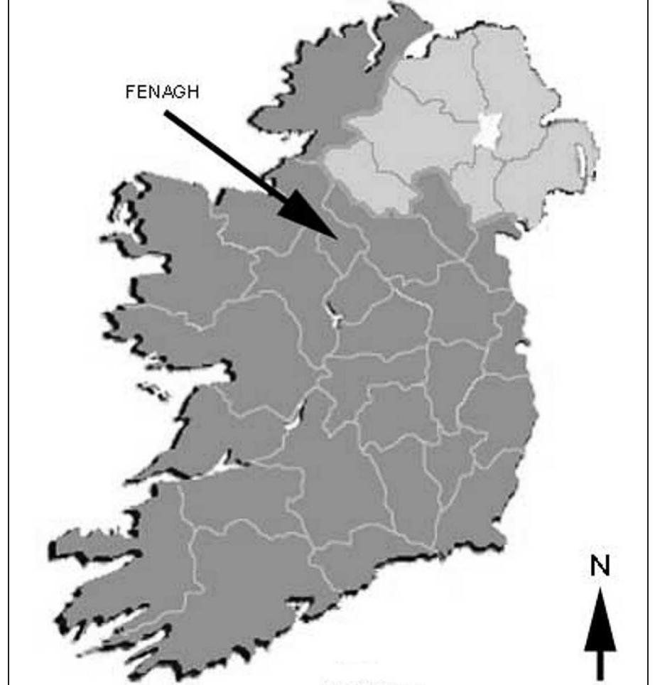 Location of fenagh. n 2007, the fenagh archaeological