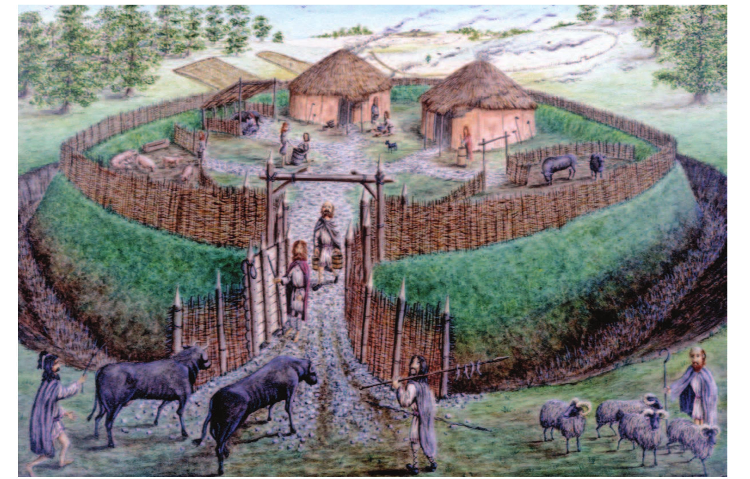 (PDF) Early Medieval Settlement Enclosures In Ireland: Dwellings, Daily ...