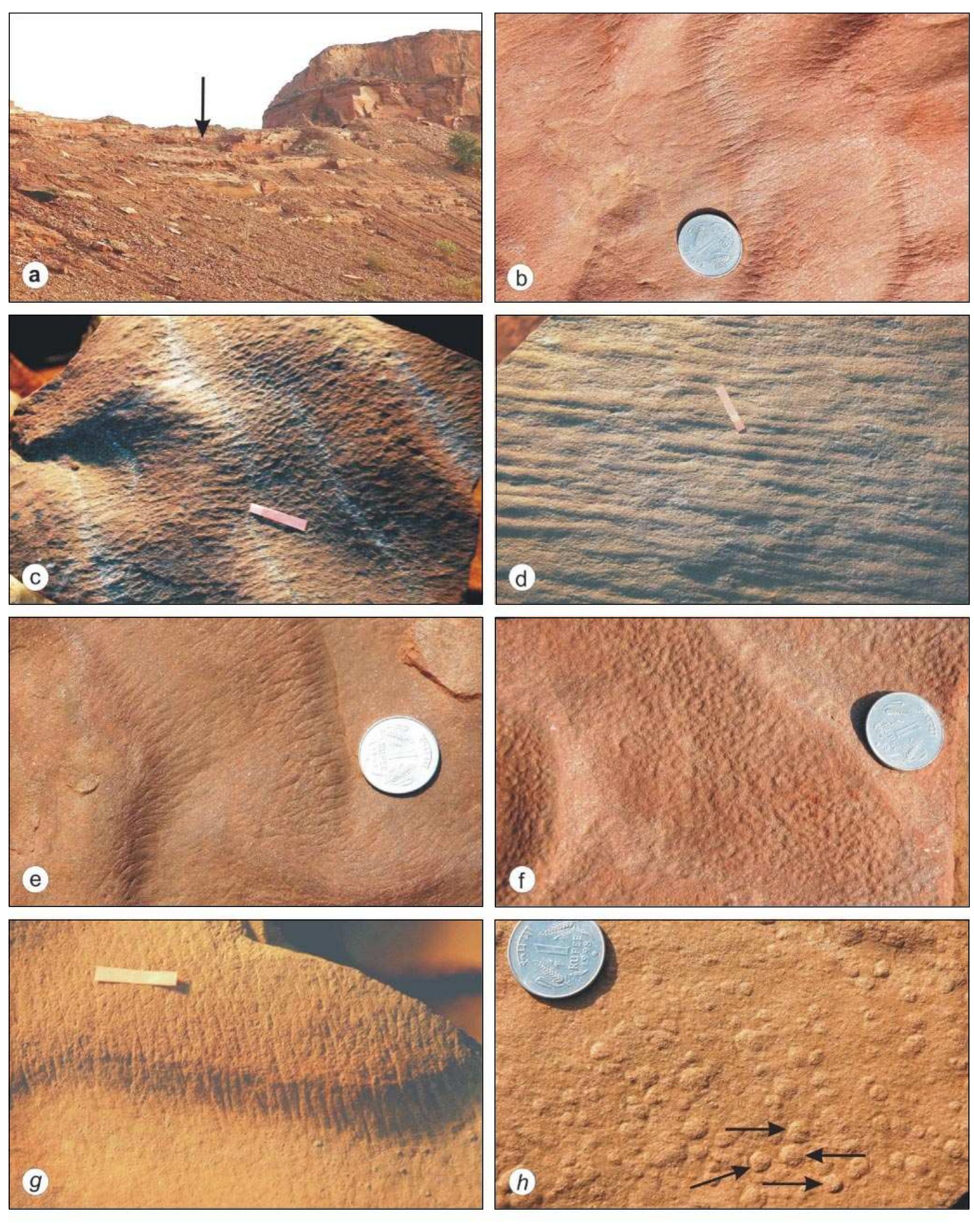 Journal of the palaeontological society of india volume,