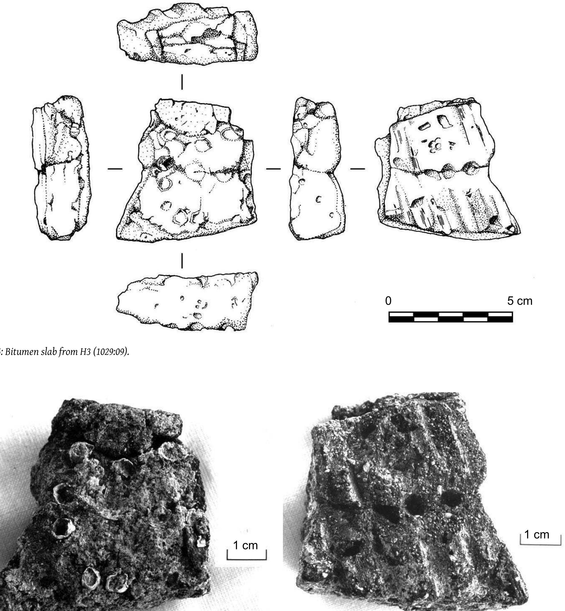 Reed-impressed face of bitumen slab from h3 (1029:09). fig.
