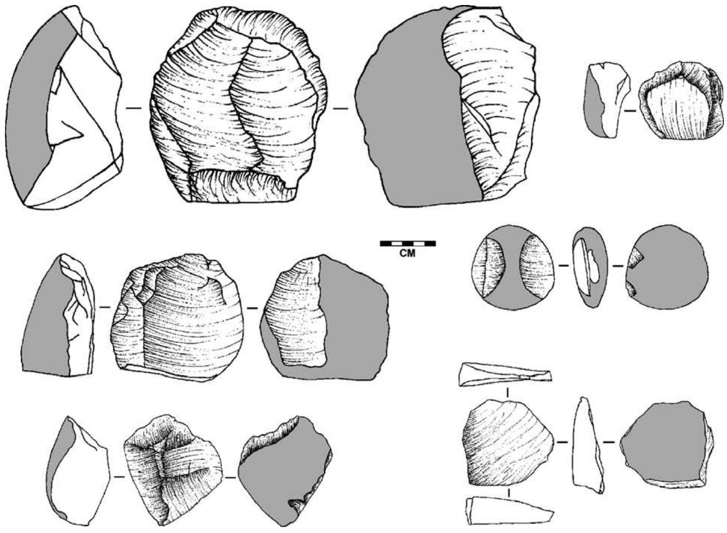 Multi-platform and irregular discoidal cores and an angular