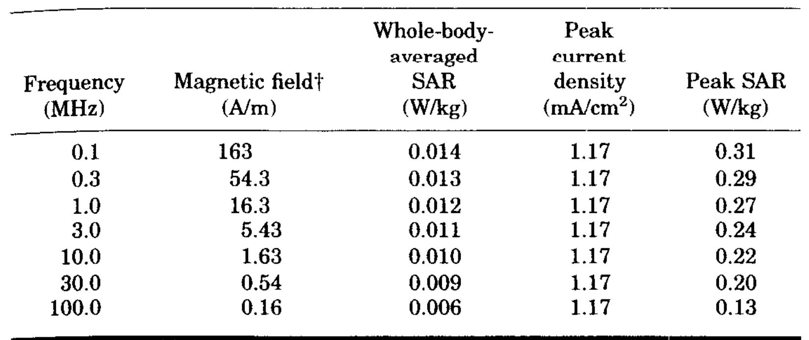 Le 3-4 whole-body-averaged and peak specific absorption