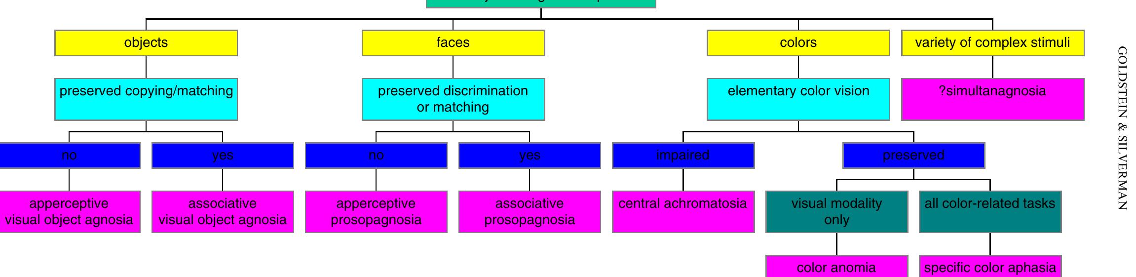 Visual agnosia: differential diagnostic algorithm.