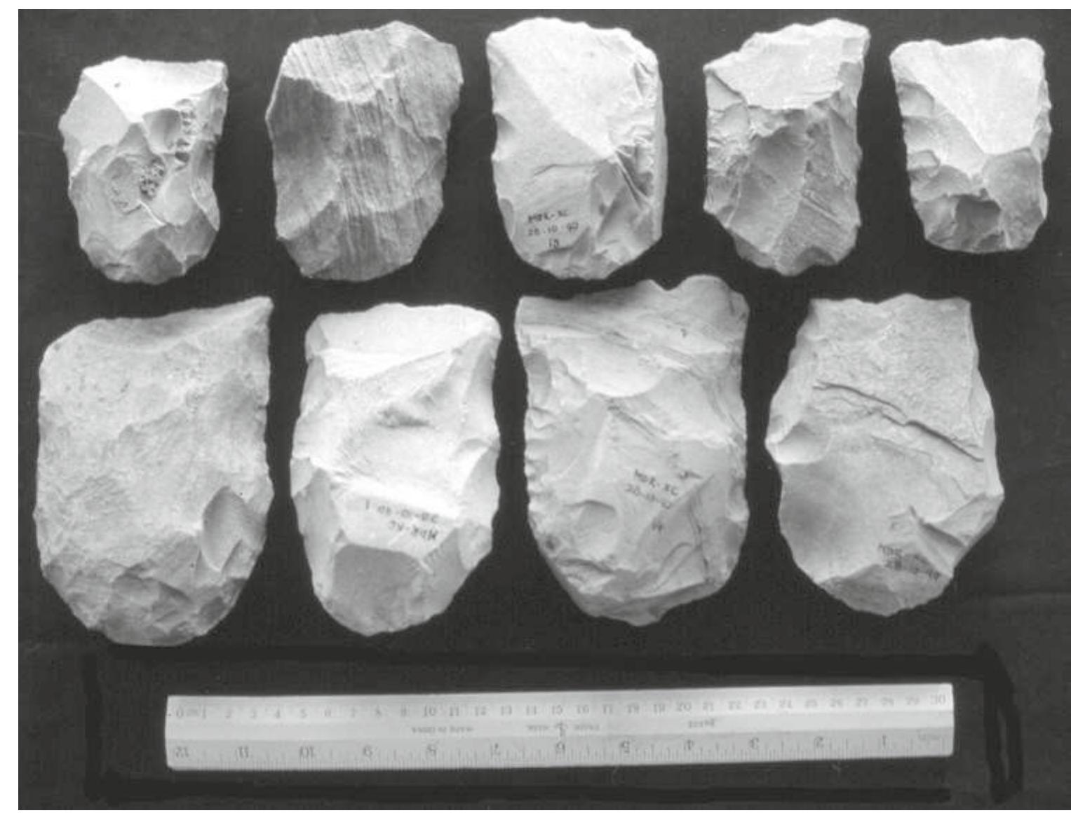 6 examples of cleavers from the baichbal valley. these tool