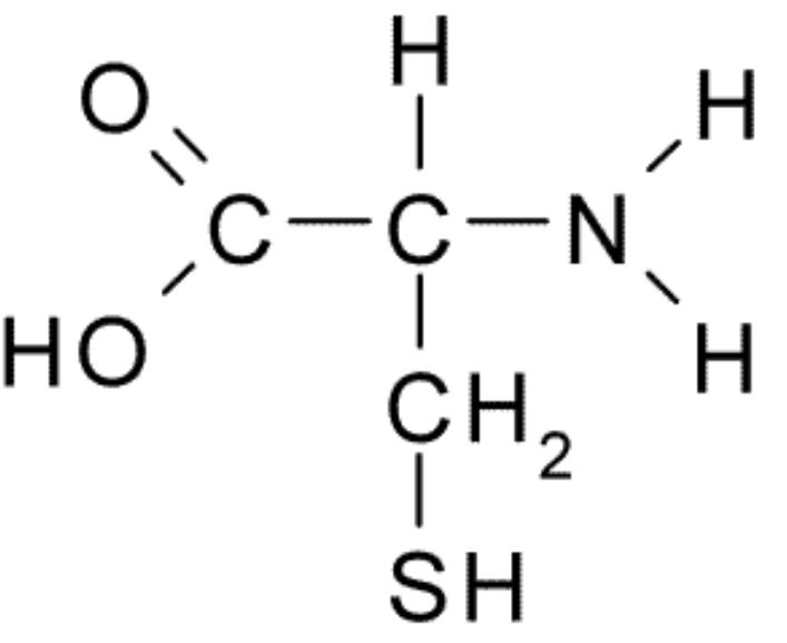 Ne 1. chemical structure amino acid cysteine. cysteine
