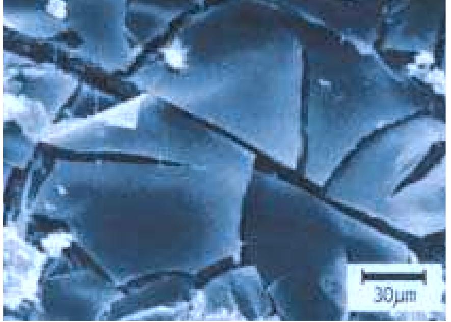 Typical example of the alkali-aggregate reaction product