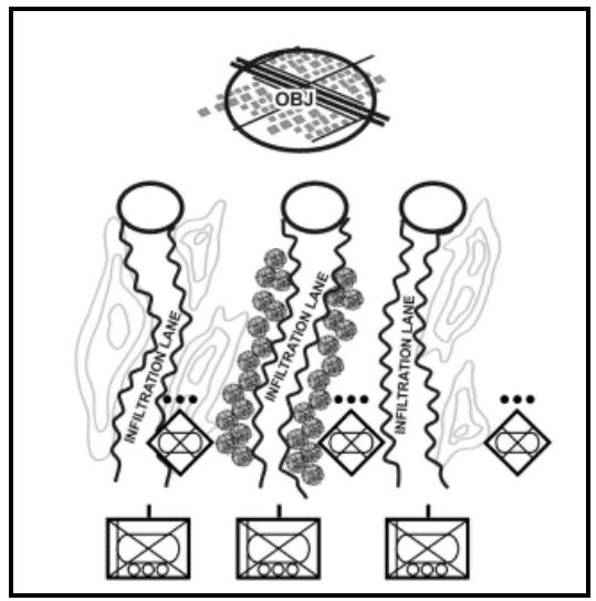 Ce on a a the infiltration maneuver is defined as a, “form