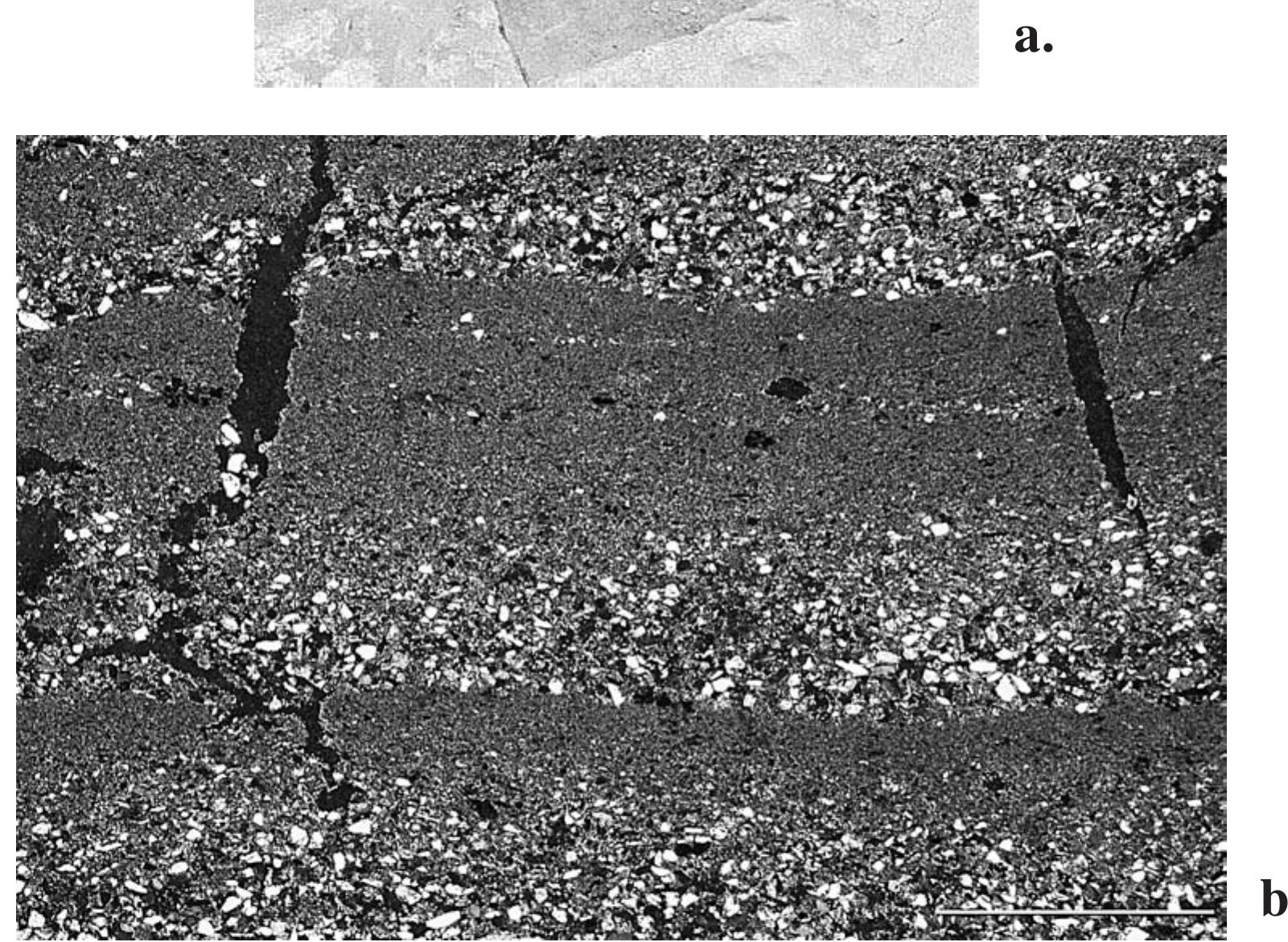 (a) field photograph of section through crater showing