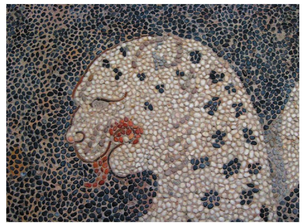 Pella, oikos 5, mosaic with dionysus riding panther, 325