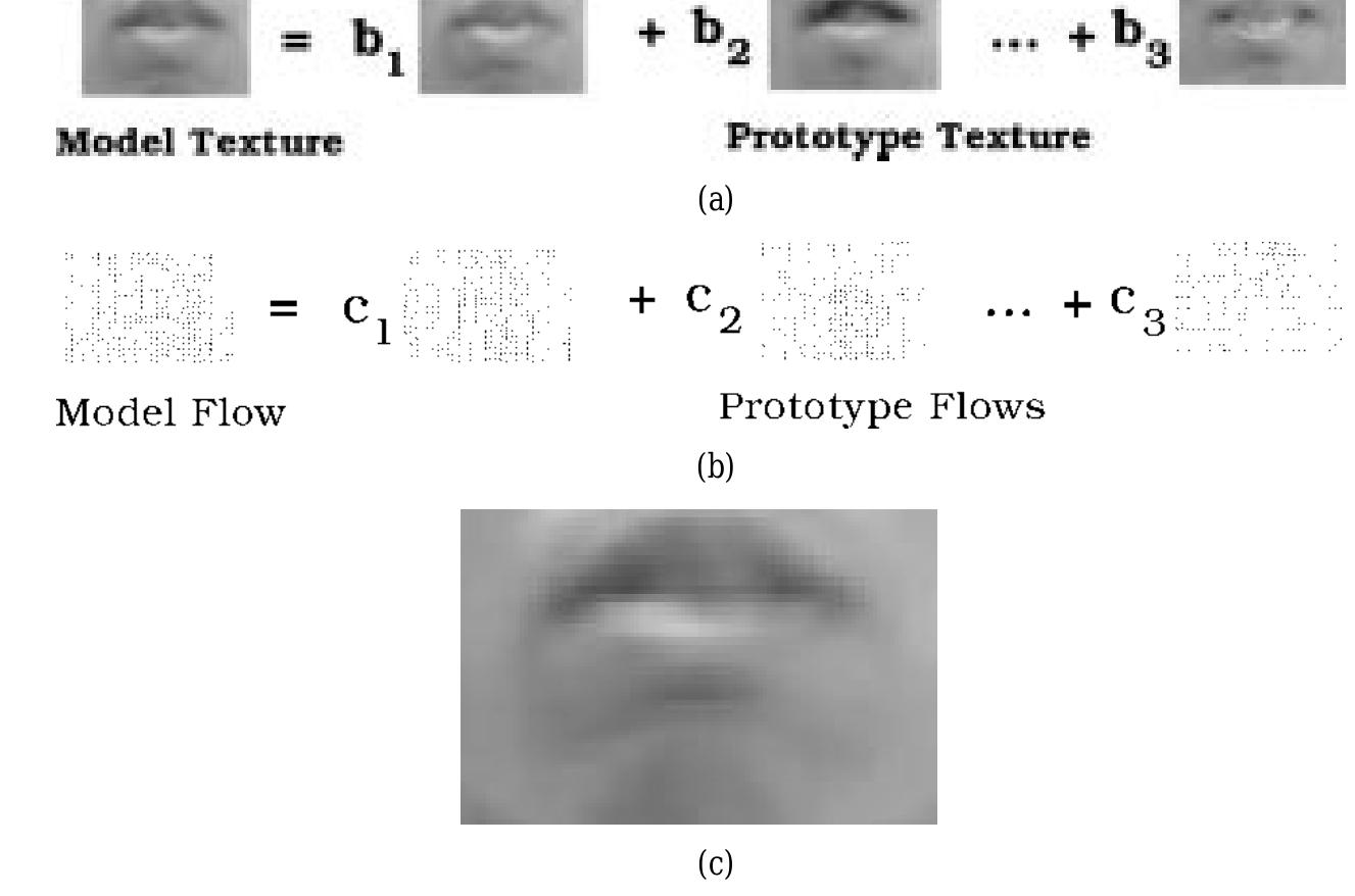 Lmm at work. (a) the model texture has a linear combination