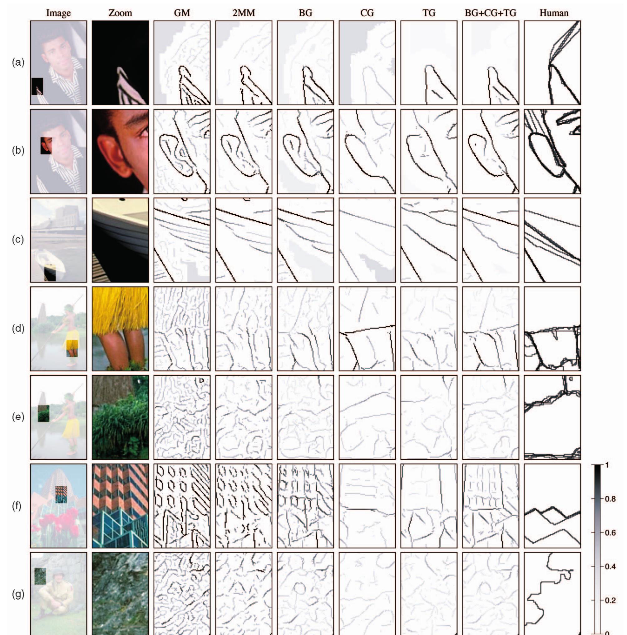 Figure 17 - from Learning to Detect Natural Image Boundaries