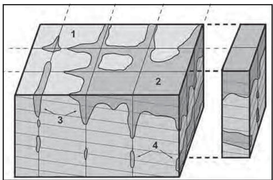 Schematic diagram showing the different types of ghost