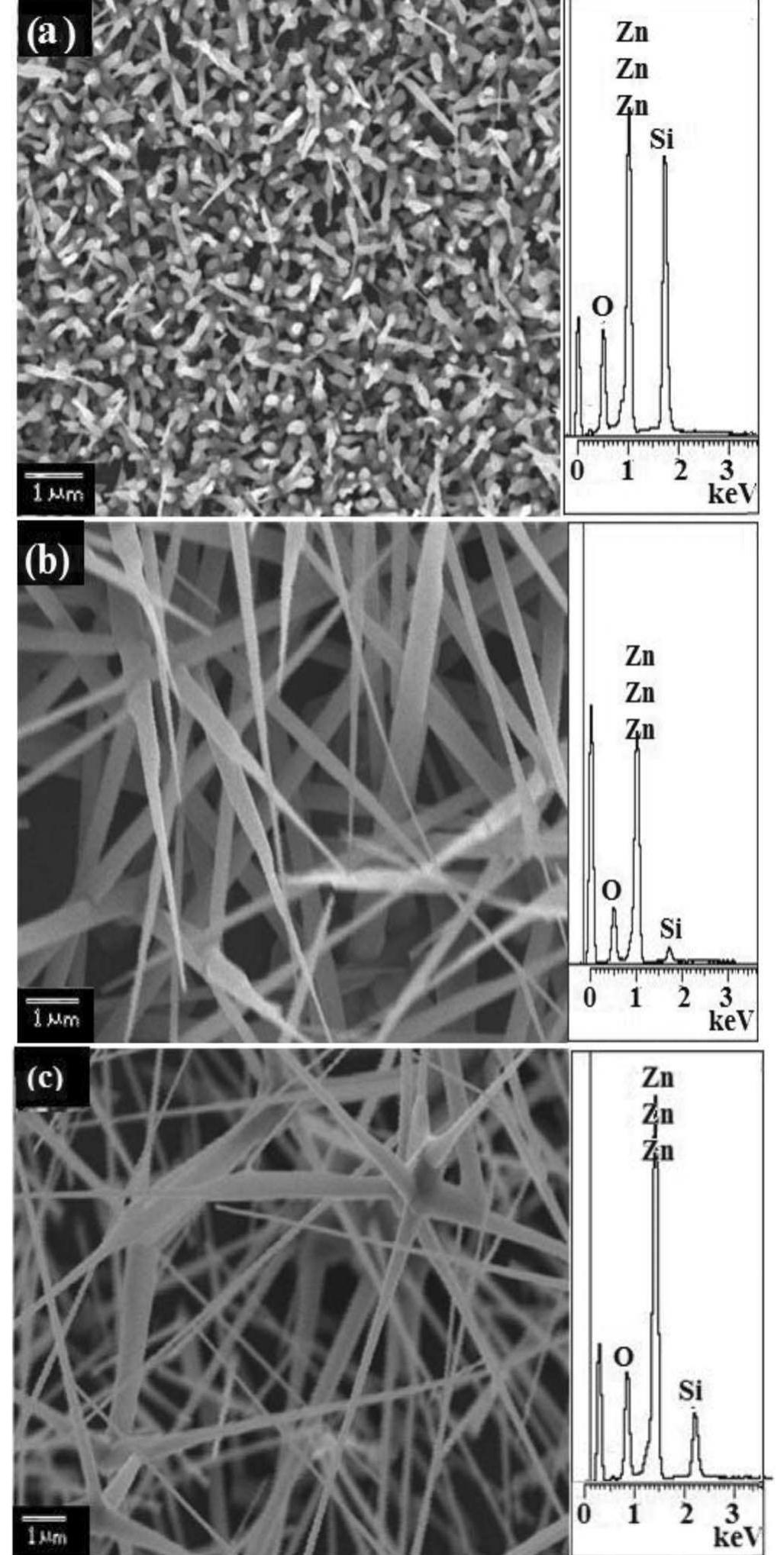 Sem images and the corresponding edx spectra of the zno