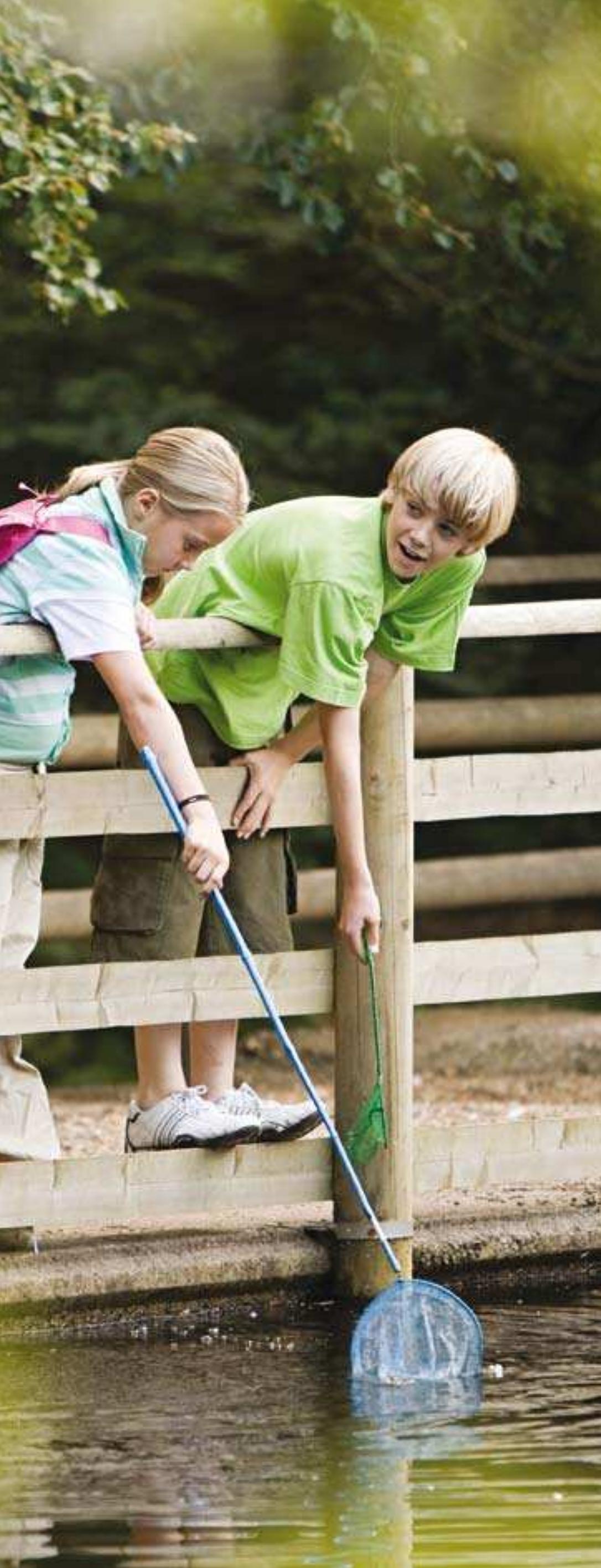 Figure 43 - Learning Bridges Toward Participatory Learning