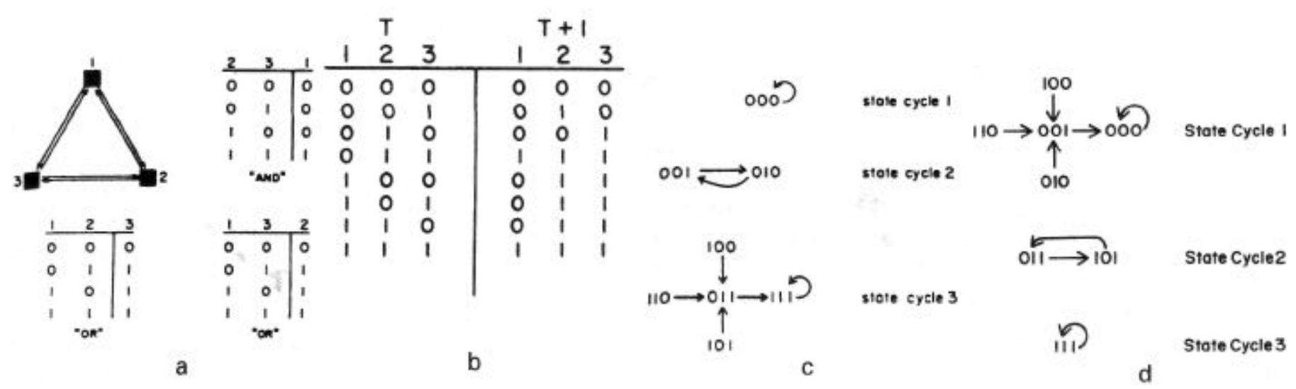7 A Boolean Net A The Wiring Diagram In A Boolean Network