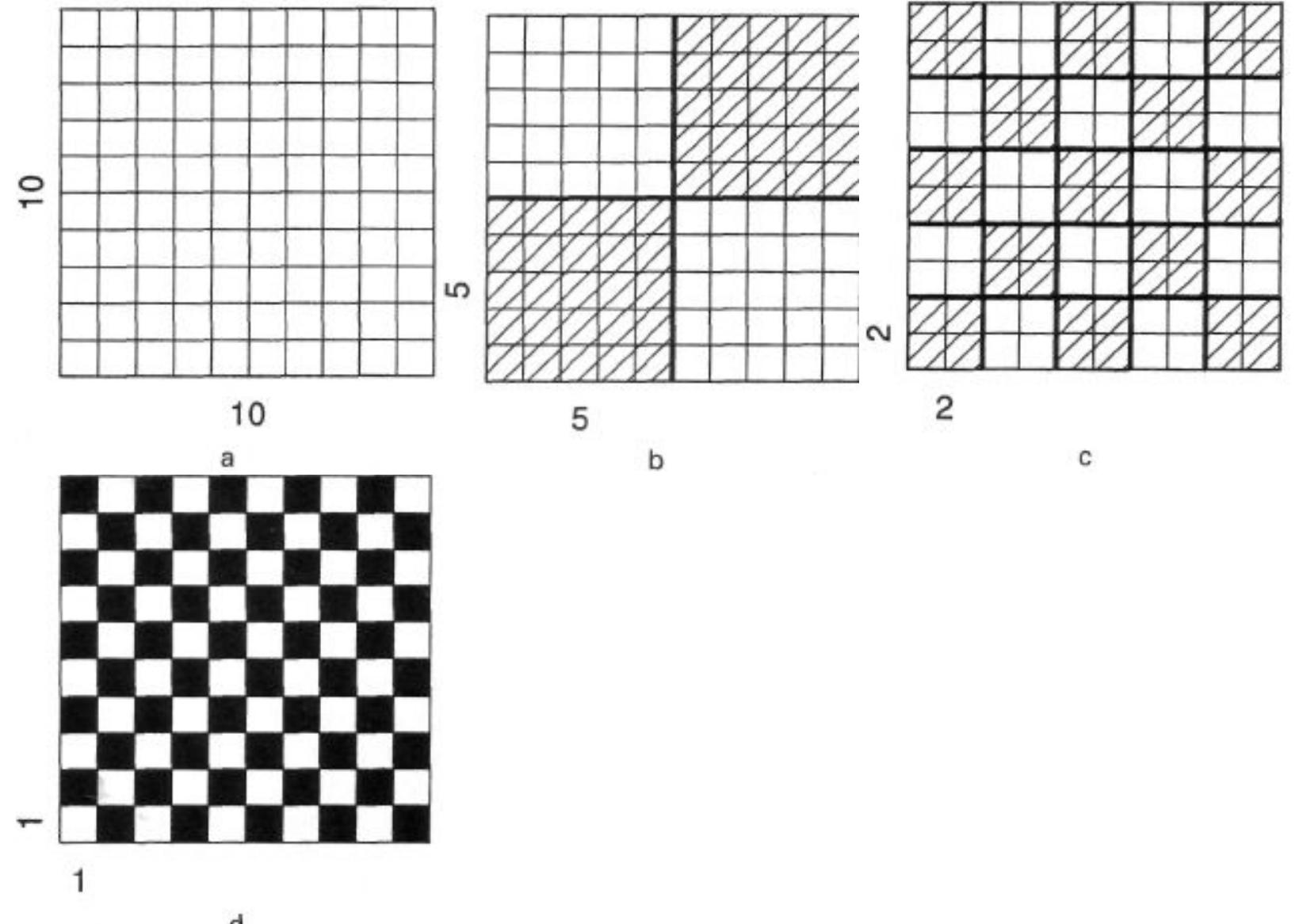 3 the patches procedure, (a) a 10 x 10 nk lattice; the