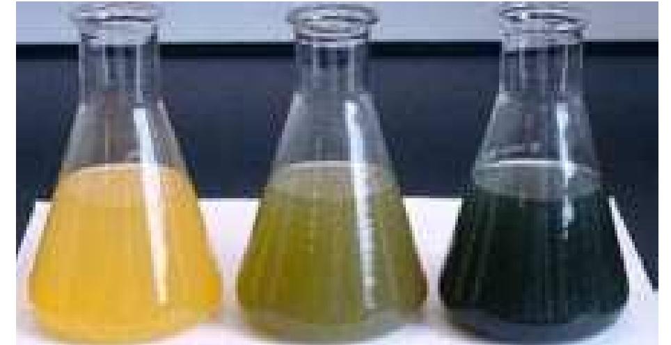 (PDF) Determination of Vitamin C Concentration by Titration