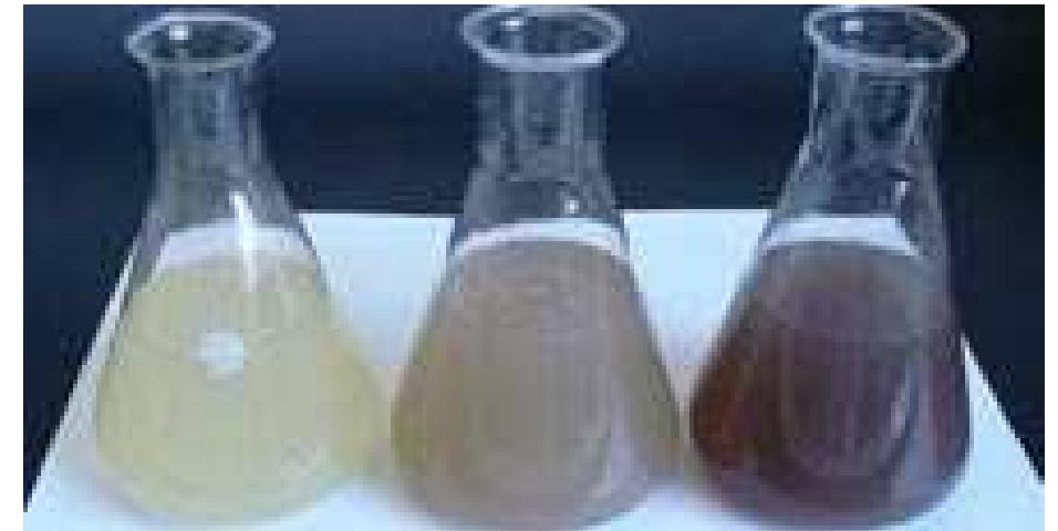 Figure 4 - Determination of Vitamin C Concentration by