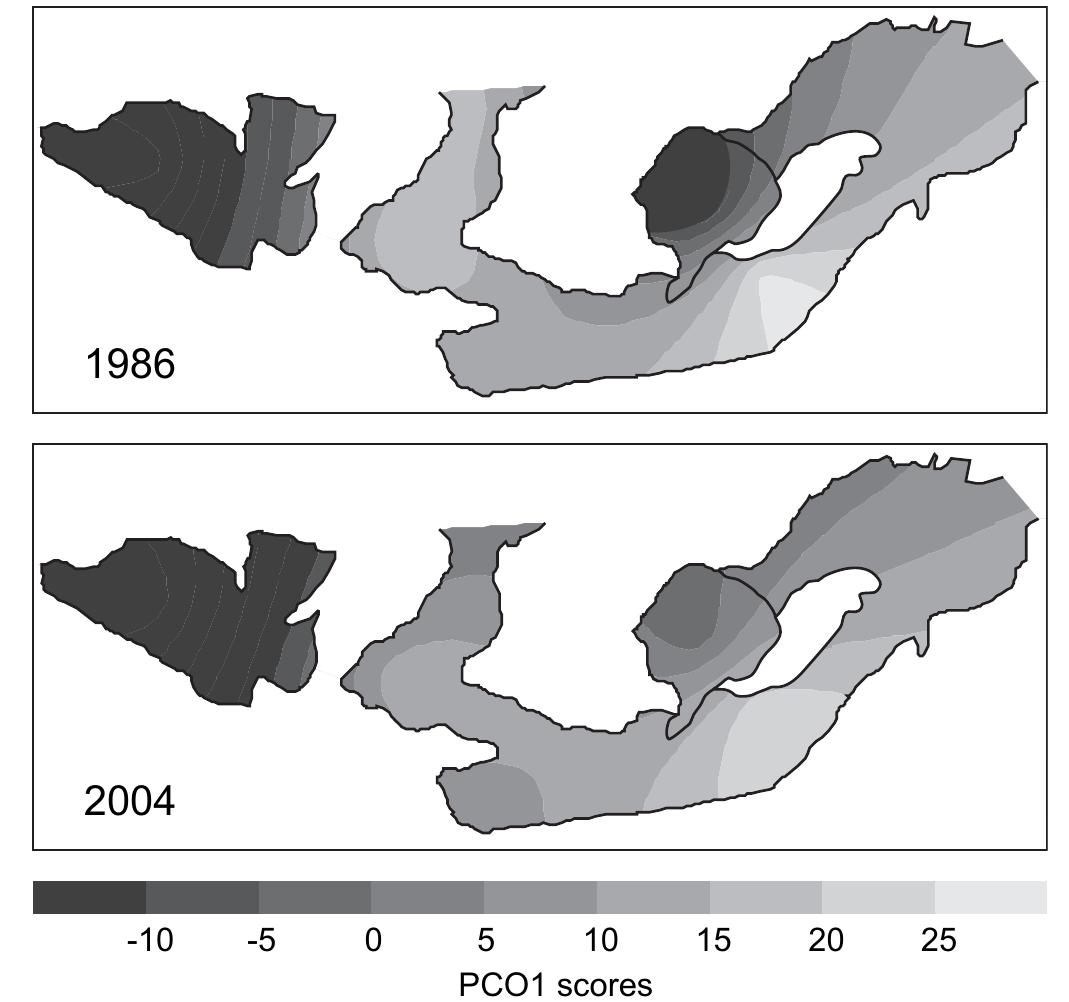 Contour maps of the scores obtained by the 1st axis of the