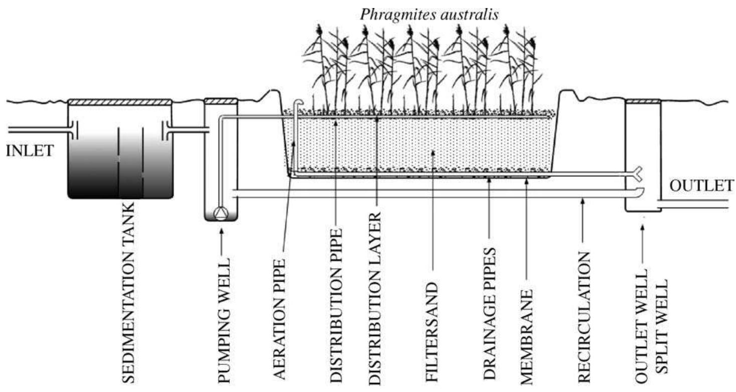 Layout of a vertical flow constructed wetland system for a