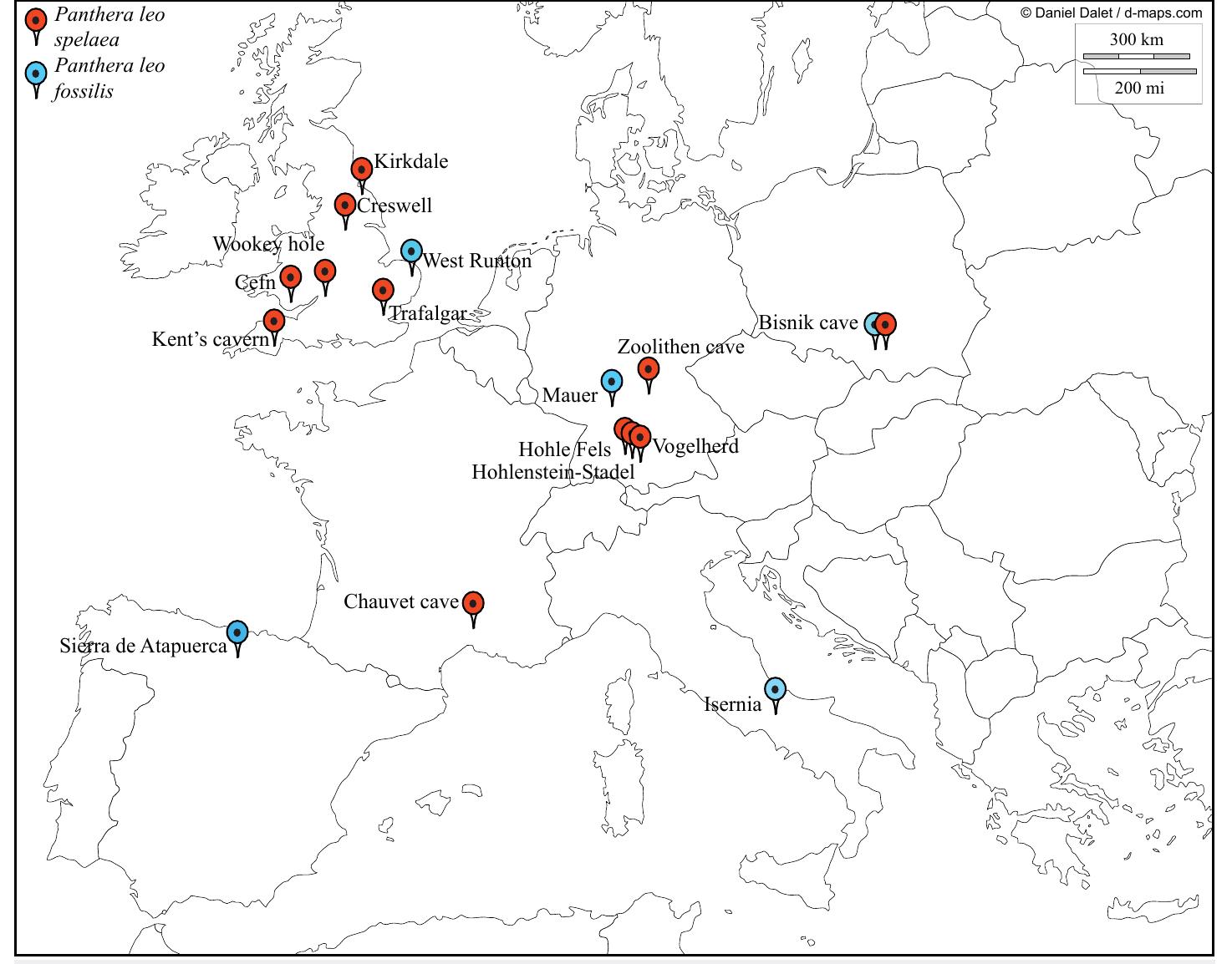 Figure 3 - from The Fossil Lions of Europe