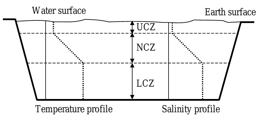 Schematic vertical section through a salt-gradient solar