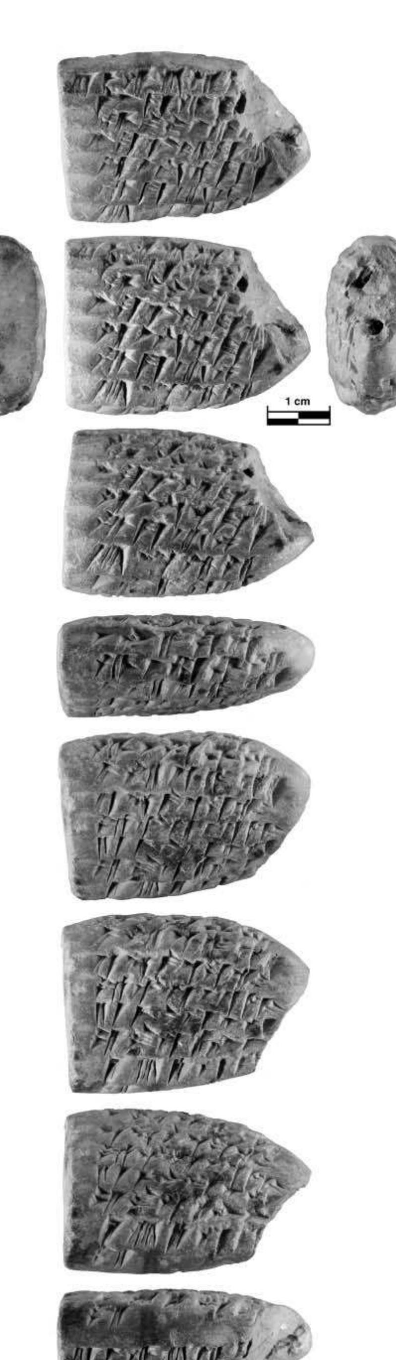 Figure 1 - Ethnic Identity and ethnic labelling at