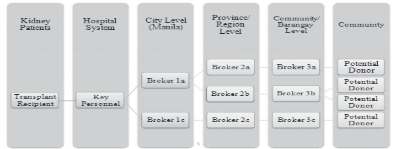 Chart 1: there are various kinds of the brokers in each
