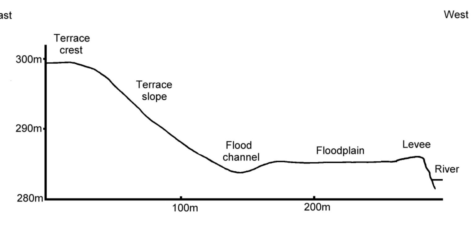 Sketch of the cross section of the site, showing the basic