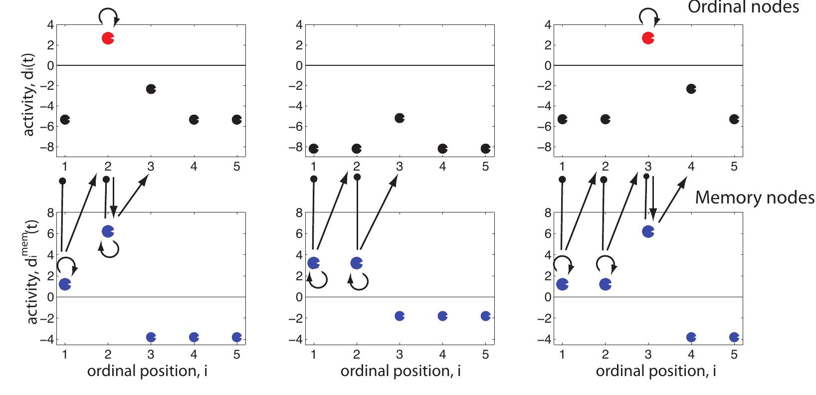The activation levels of the five ordinal (top) and memory