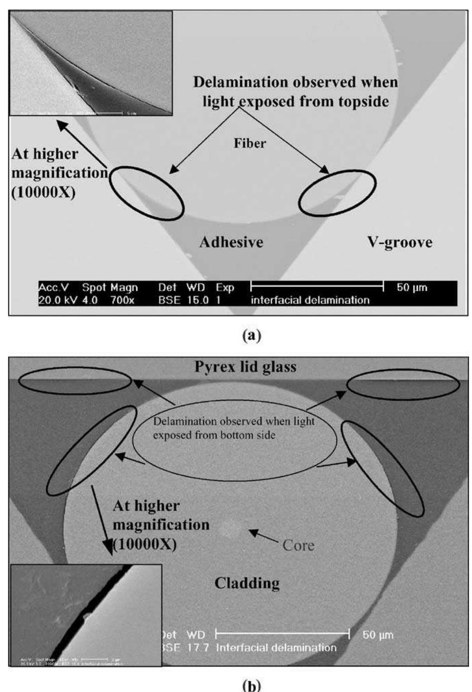 Delamination observed in sem after reliability test for a