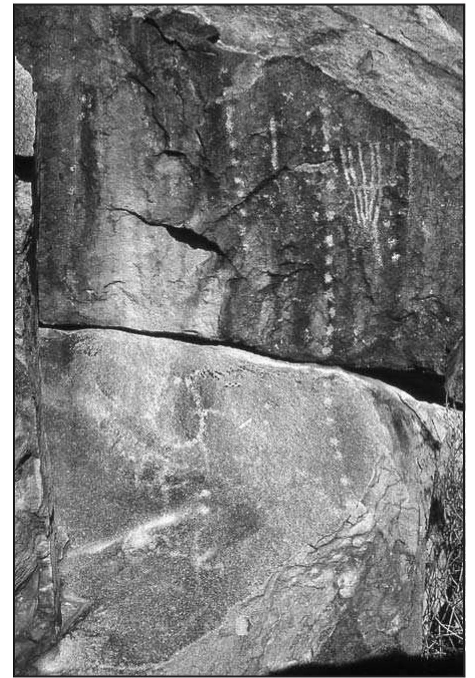 10. petroglyph panel a-28a (bottom) and panel a-29a (top),