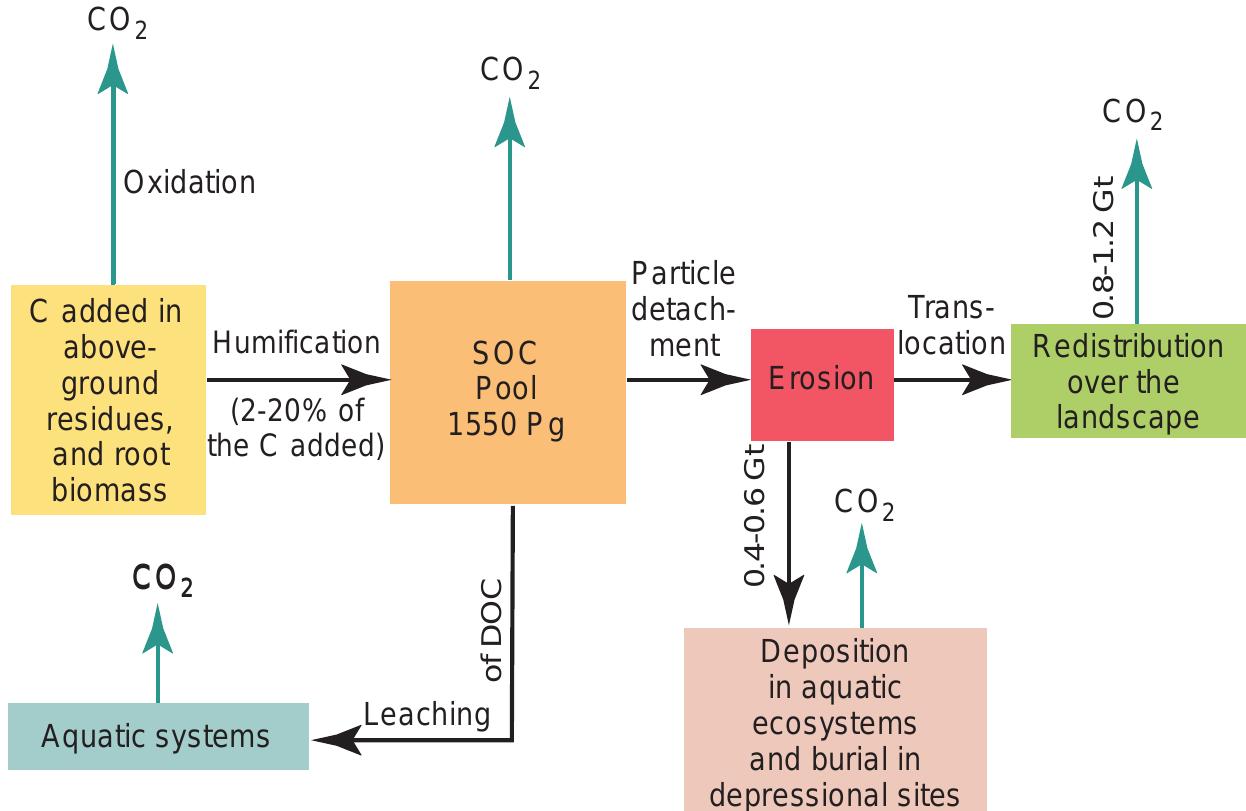 (PDF) Soil carbon sequestration impacts on global climate change and ...