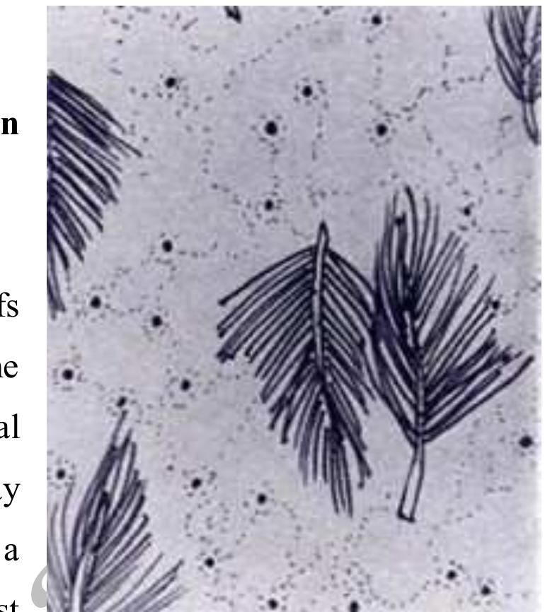 (PDF) Layout for different Textile design prints