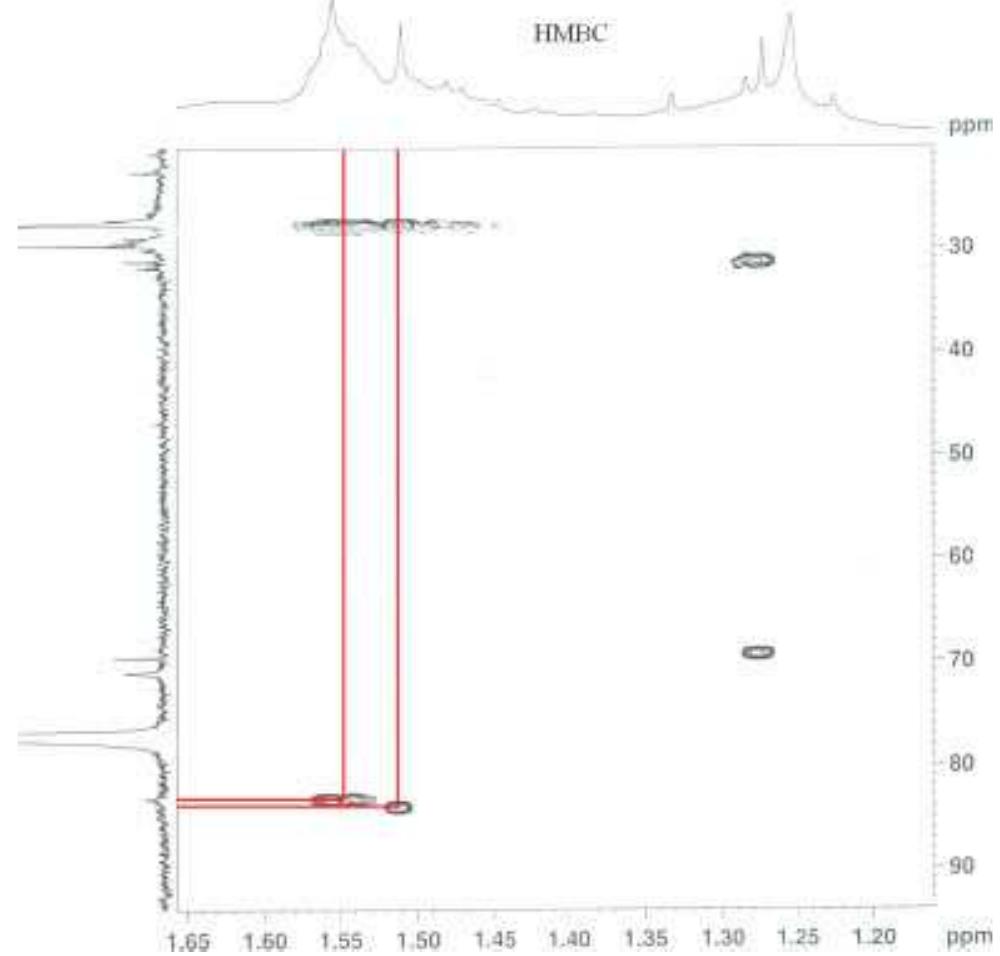 Hmbc spectrum of f-boc protected copoly- mer, ‘°c nmr