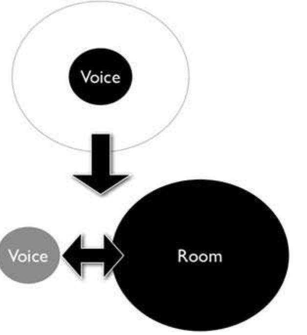 Decoupling of voice and room. the voice and the room are