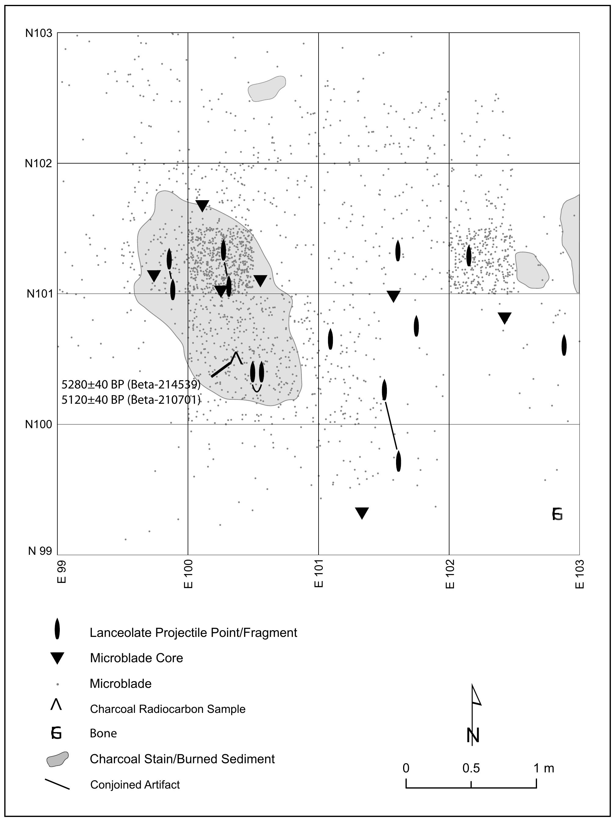 Map of the rosaliya site excavation block showing the