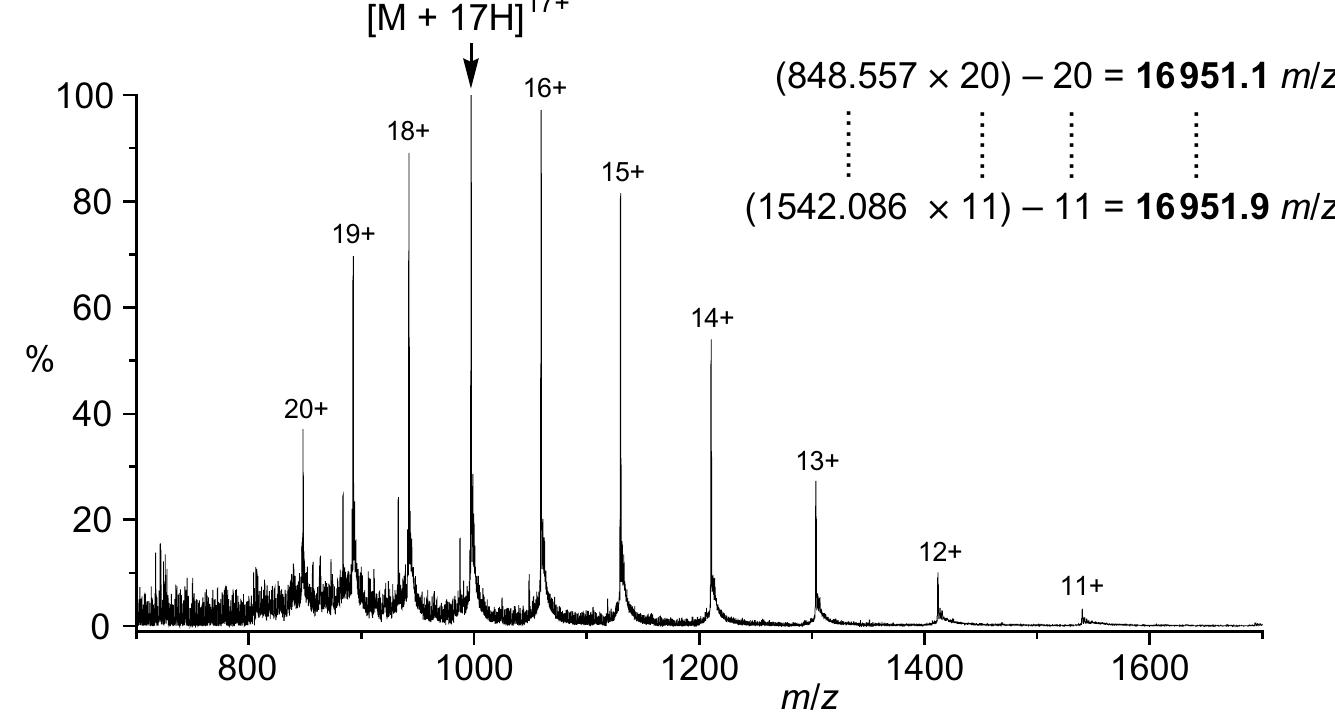 40 positive-ion esi mass spectrum of horse-heart myoglobin,