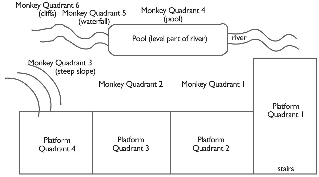 La. diagram of data collection area for monkey group yai.
