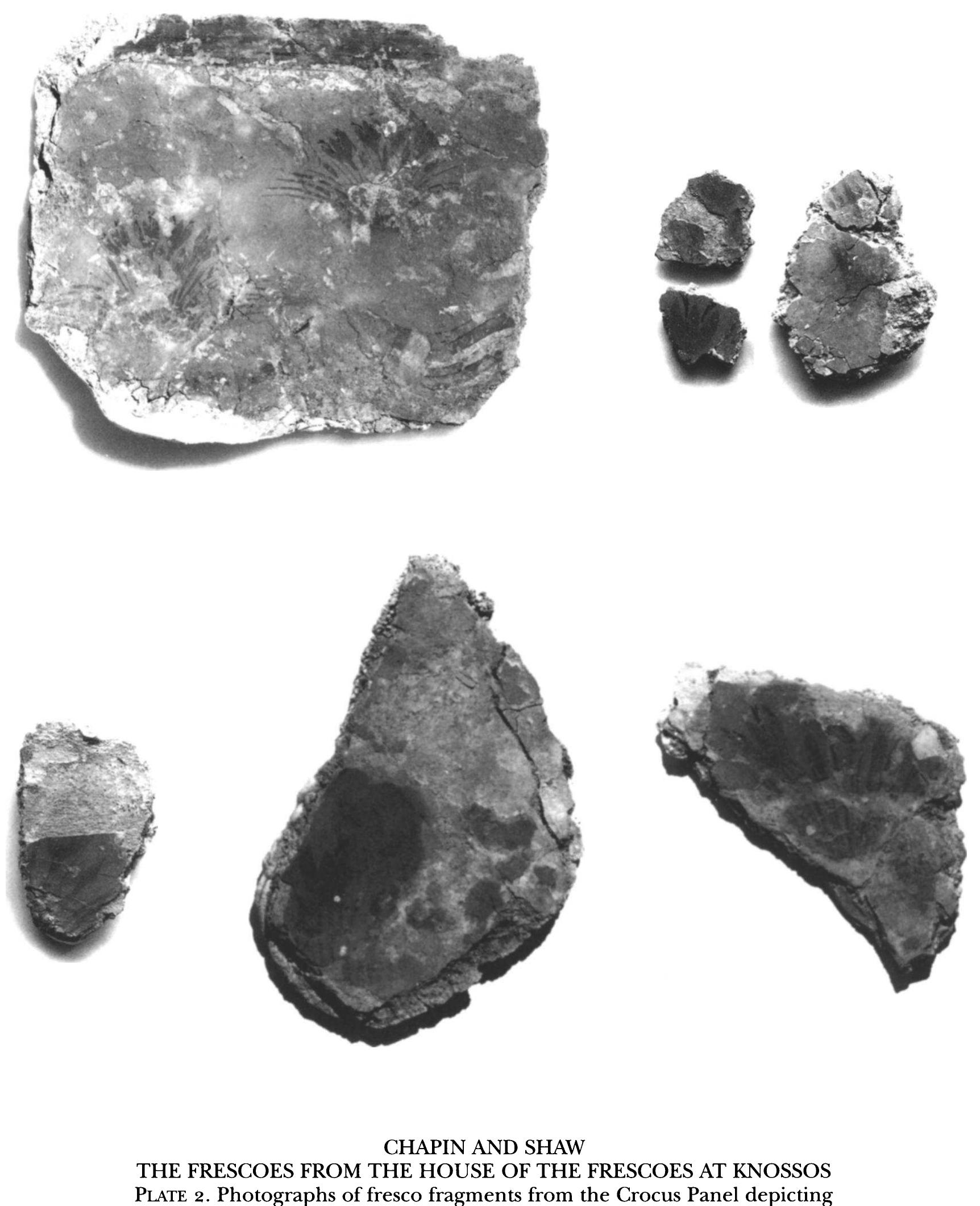 Figure 12 - "The Fresco of the Crocuses and Goats from the