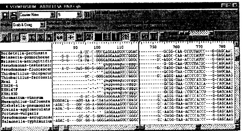 The basic bioedit alignment window. shown above is part of