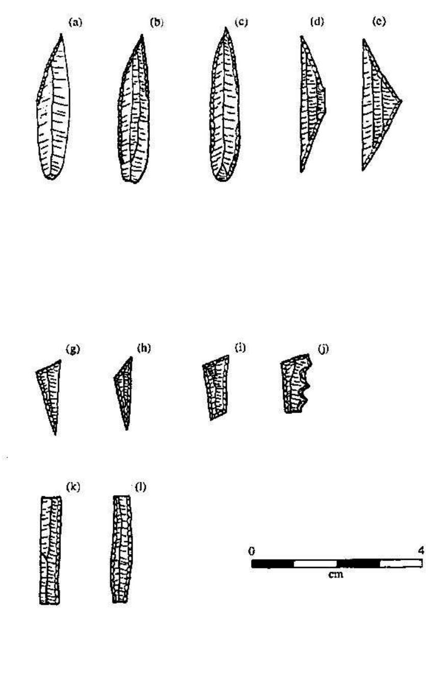 0 - illustration of early mesolithic microlithic forms a - e