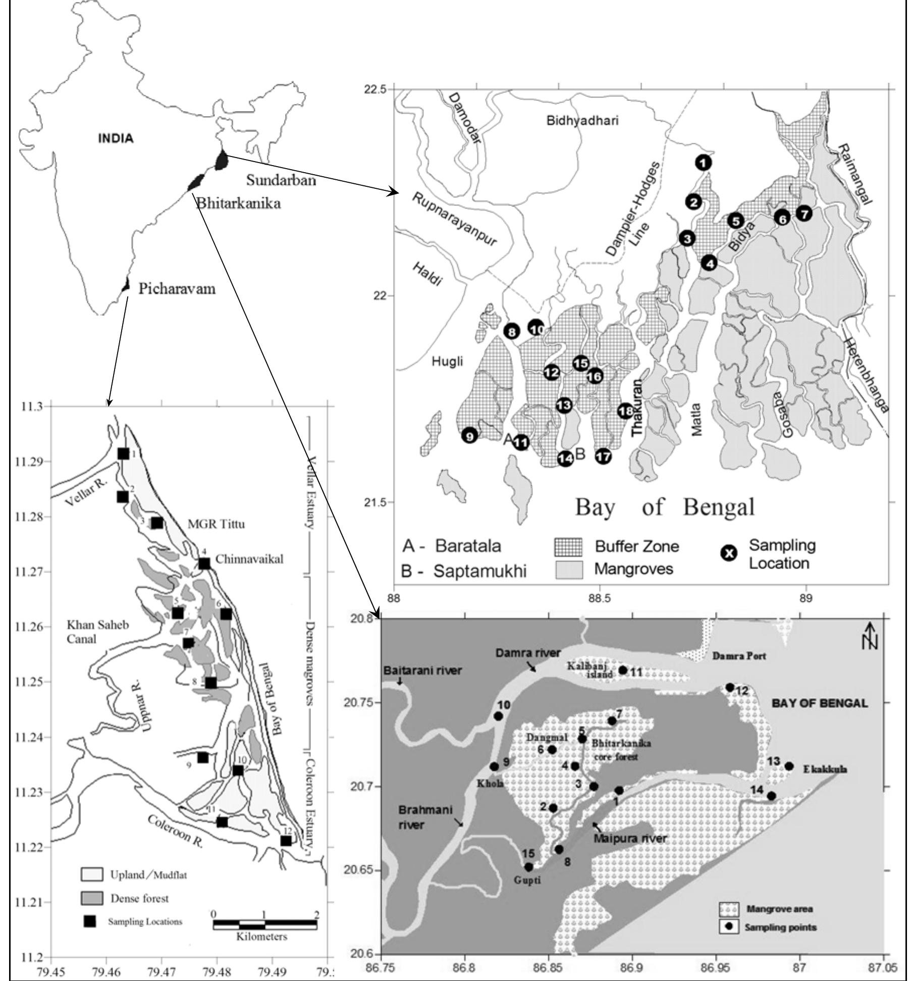 Map showing sundarban, bhitarkanika and pichavaram mangrove