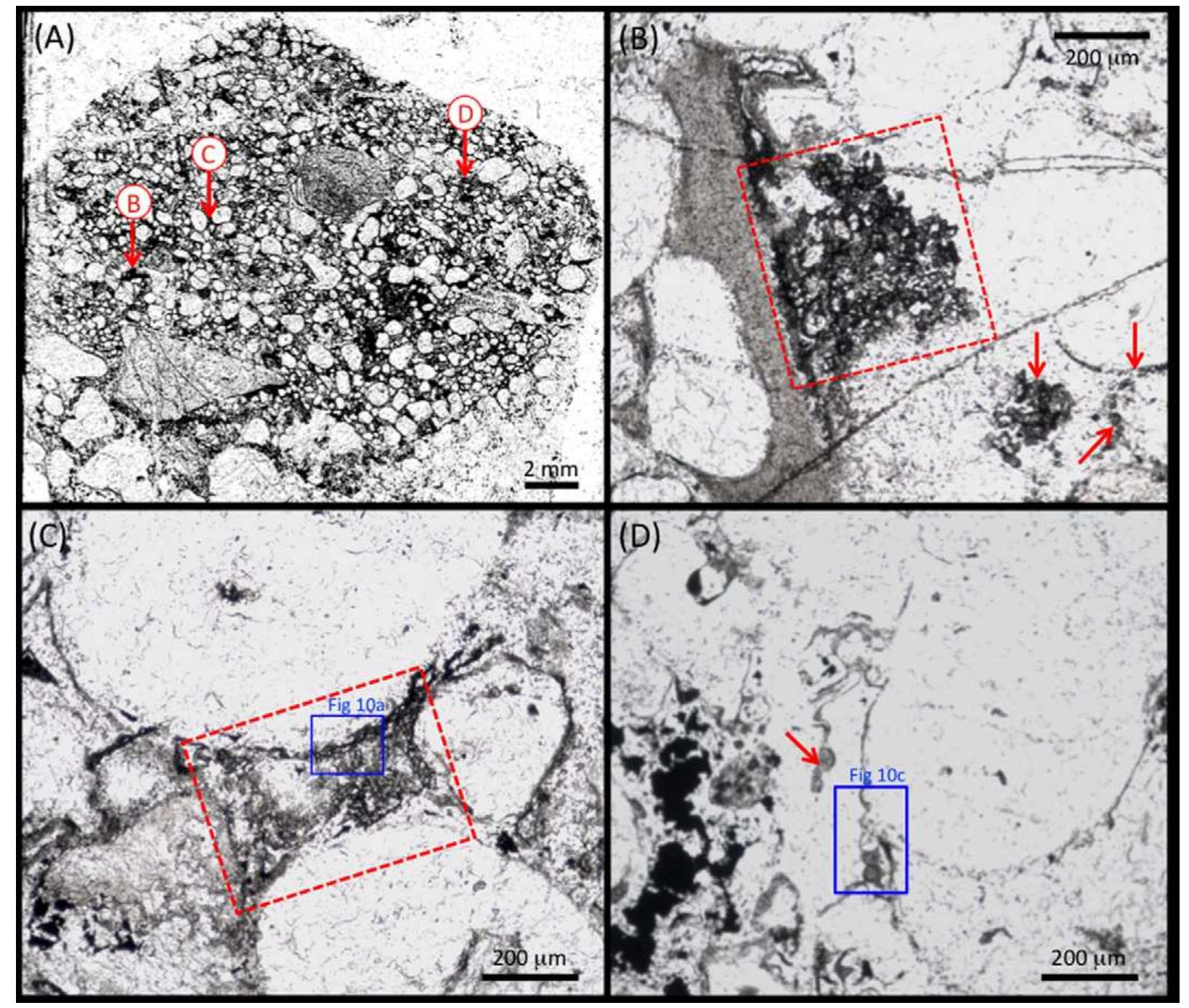 Overview of strelley pool microstructures analyzed by
