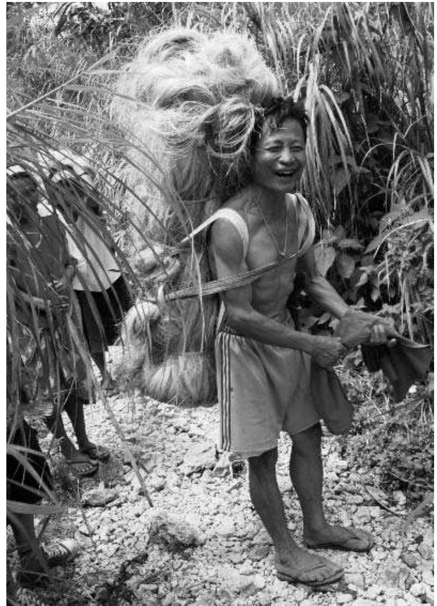 Abaca is hauled from remote areas of new bataan by sheer