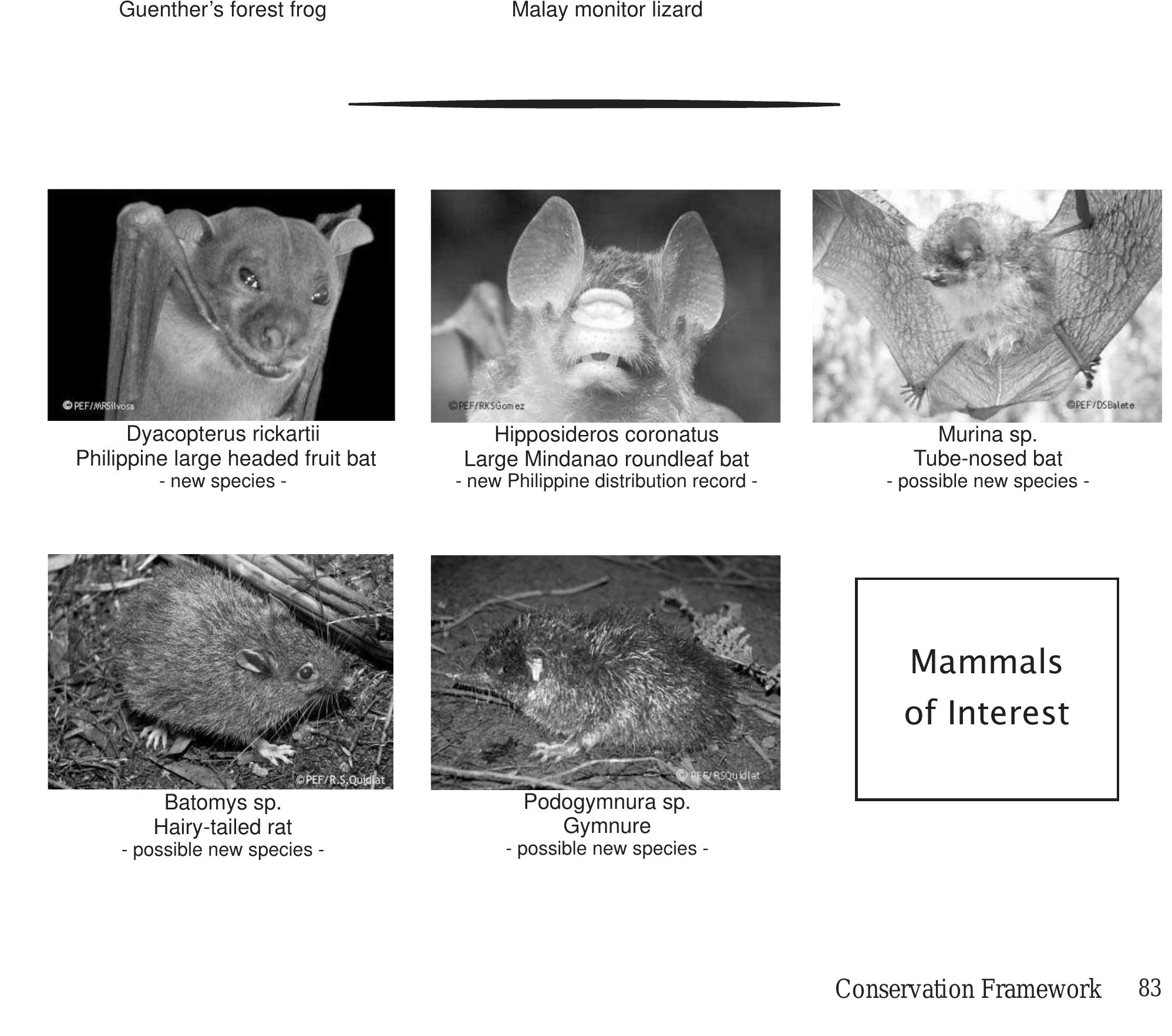 Figure 58 - The Eastern Mindanao Biodiversity Corridor