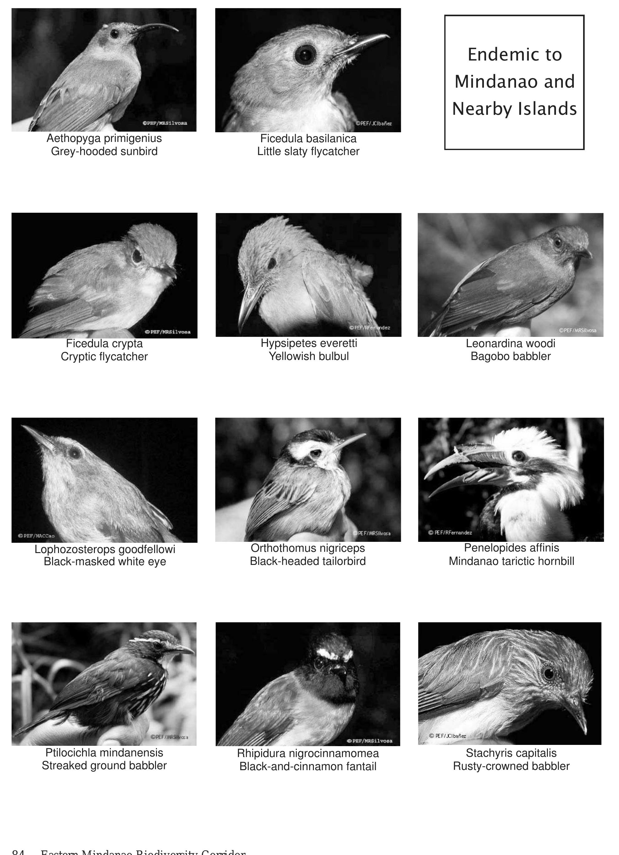 Figure 59 - The Eastern Mindanao Biodiversity Corridor