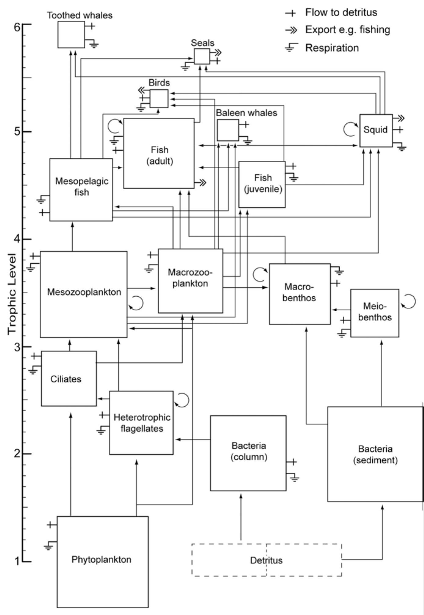 Trophic model for the southern plateau, new zealand. the box