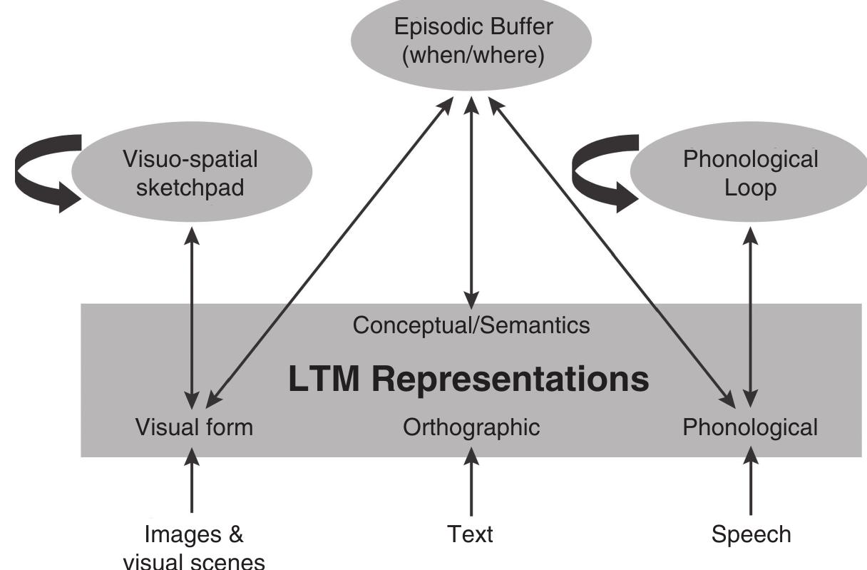 1 the multicomponent working memory (wm) architecture
